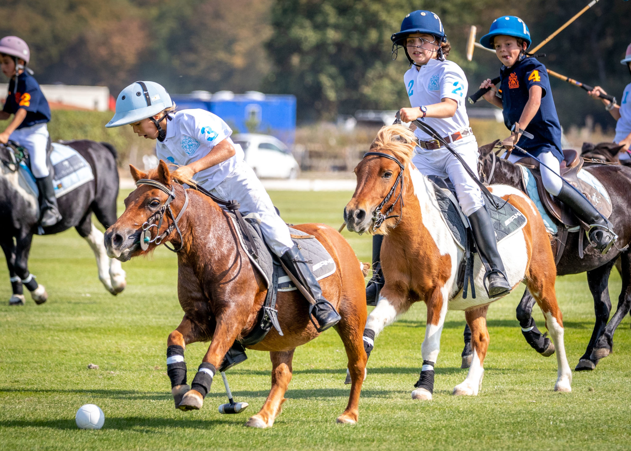 Les disciplines – Fédération Française de Polo