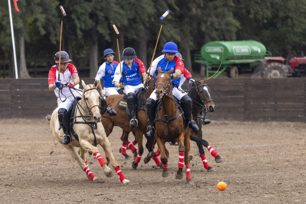 LA FRANCE CHAMPIONNE DU MONDE D’ARENA POLO 🇫🇷🏆 – Fédération Française ...