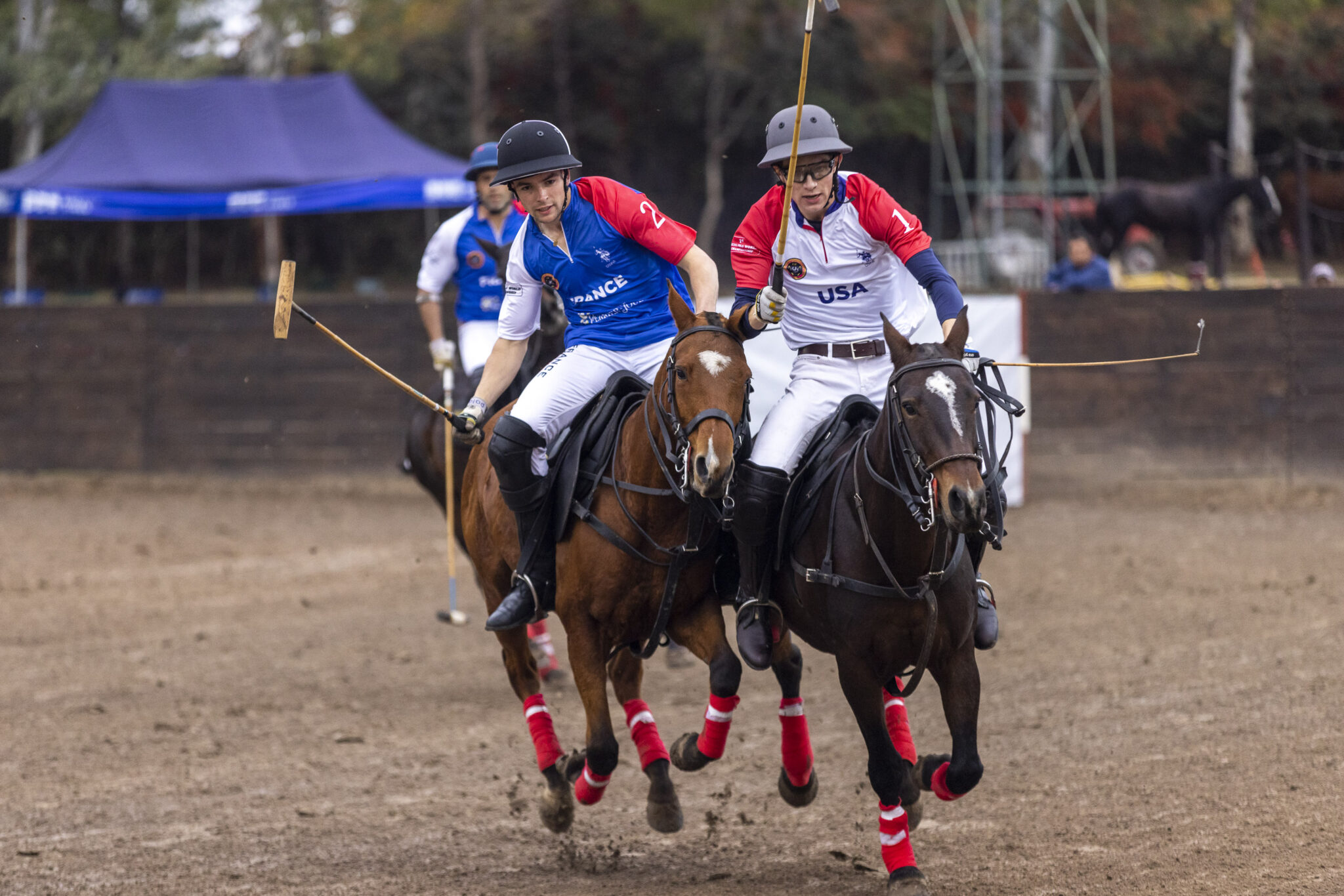 LA FRANCE CHAMPIONNE DU MONDE D’ARENA POLO 🇫🇷🏆 – Fédération Française ...