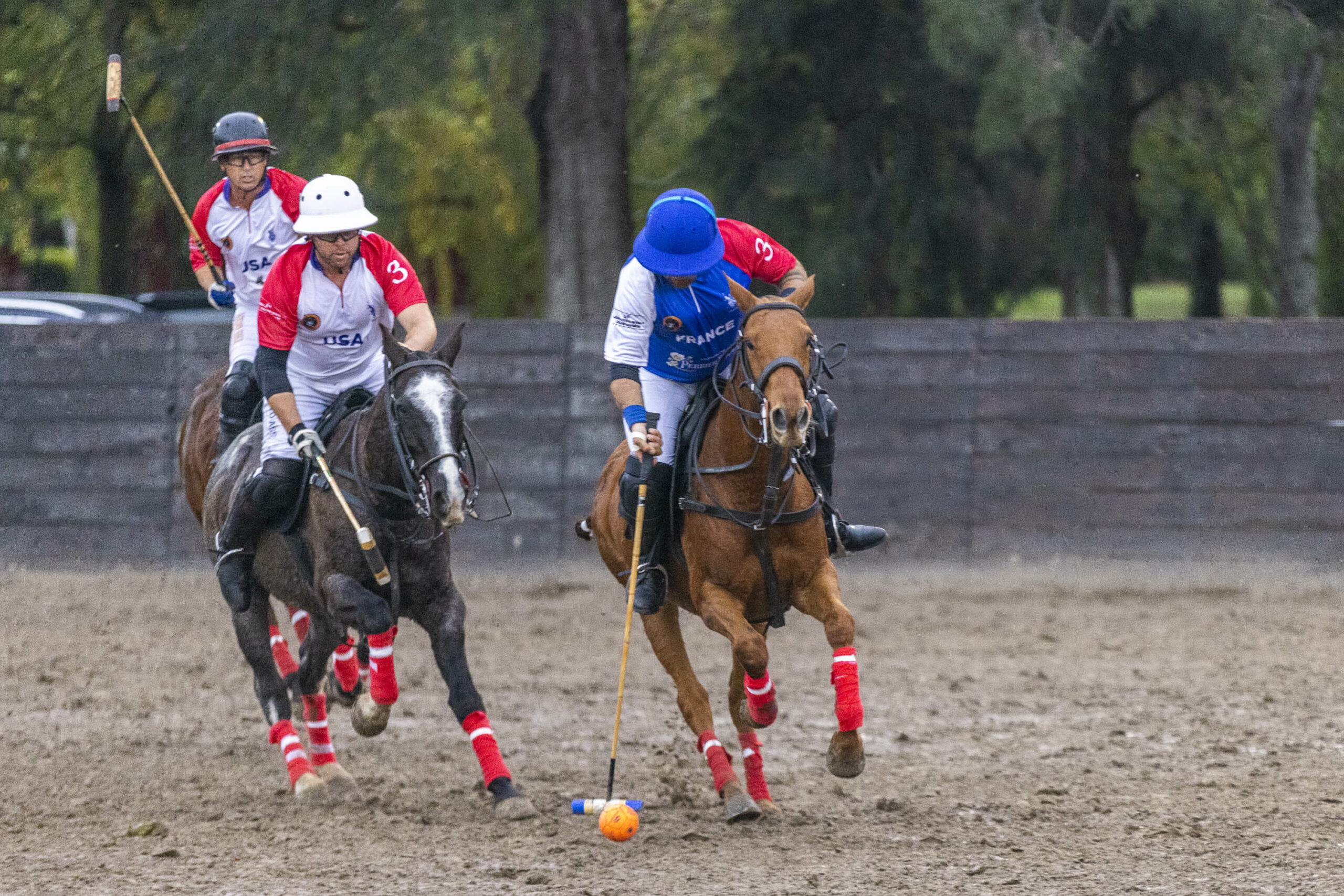 LA FRANCE CHAMPIONNE DU MONDE D’ARENA POLO 🇫🇷🏆 – Fédération Française ...
