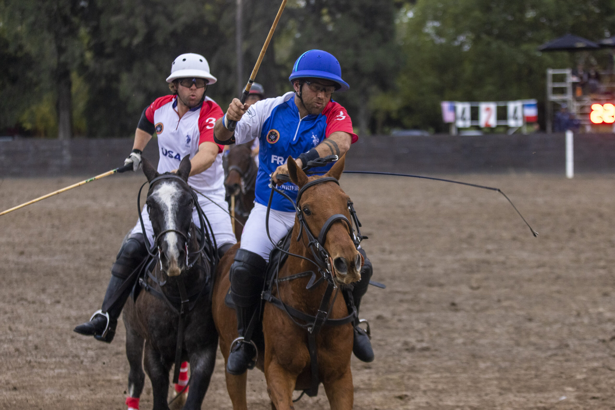LA FRANCE CHAMPIONNE DU MONDE D’ARENA POLO 🇫🇷🏆 – Fédération Française ...