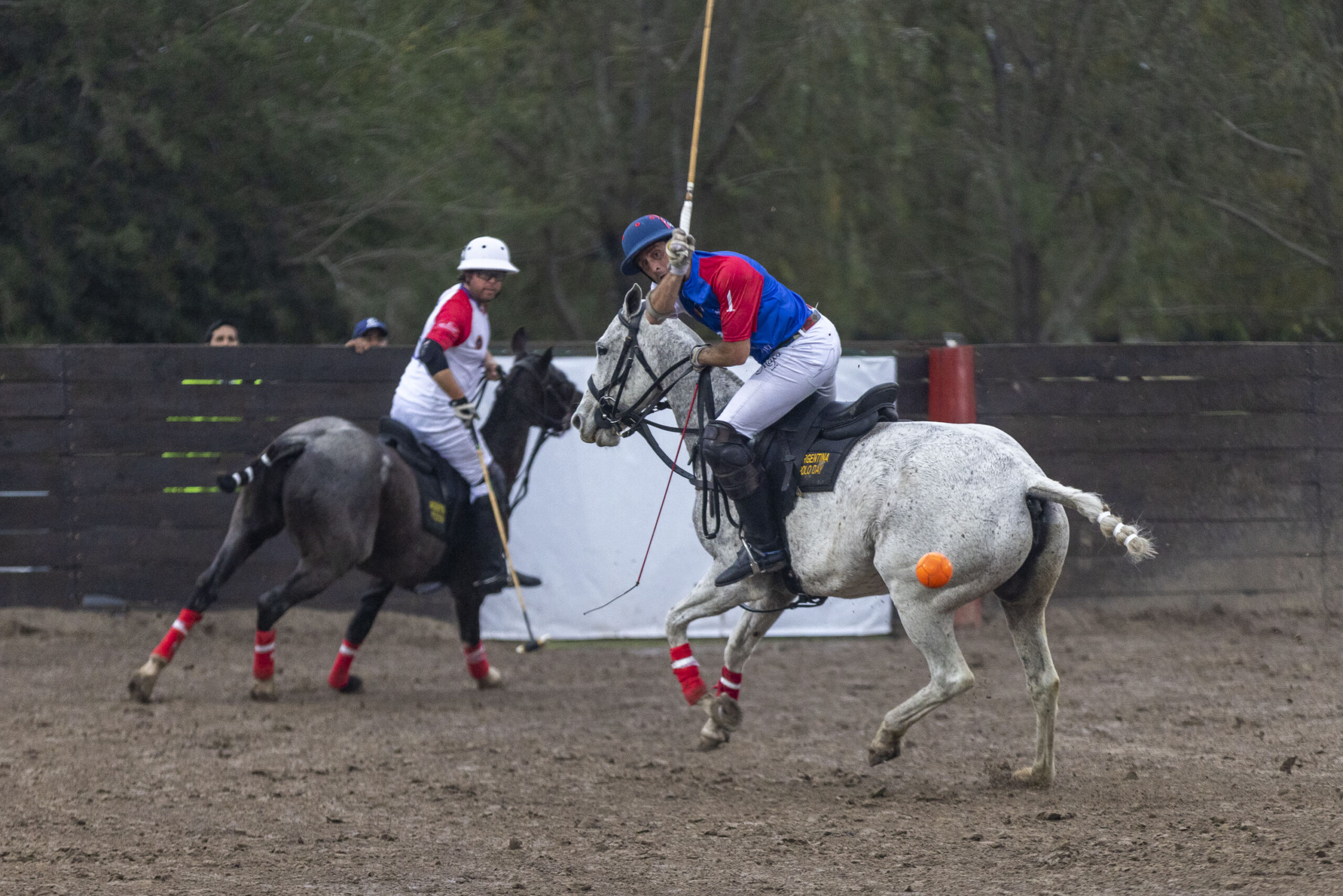 LA FRANCE CHAMPIONNE DU MONDE D’ARENA POLO 🇫🇷🏆 – Fédération Française ...